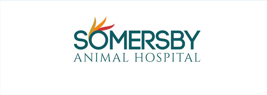 Our friends - Cedar Creek Wombat Rescue Inc.